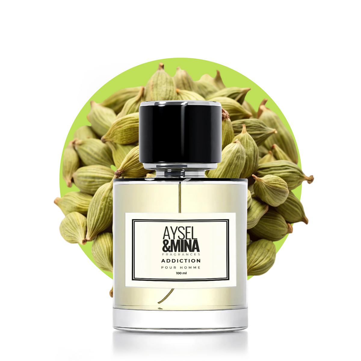 Addiction– Aysel&Mina